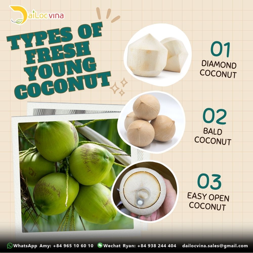 FRESH YOUNG COCONUT: THE BEST TYPES OF DAILOCVINA’S COCONUT EXPORTING ...